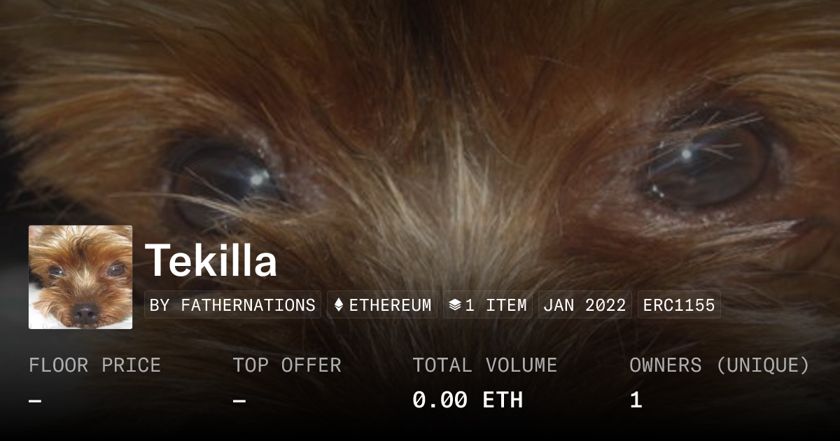 Tekilla - Collection | OpenSea