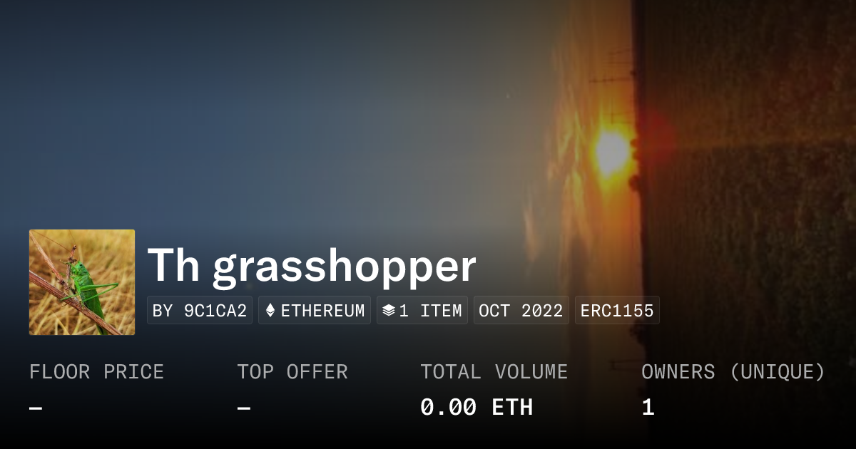 opengraph-image?ts=29205012