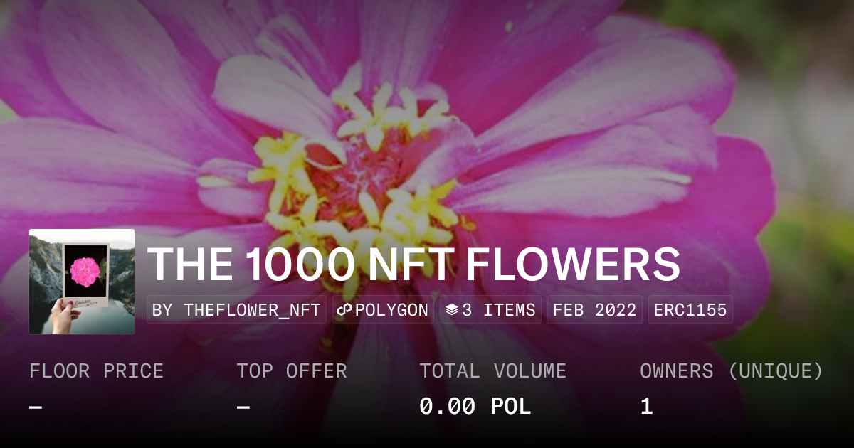 opengraph-image?ts=29206114