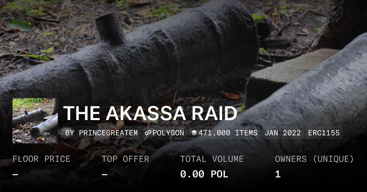 THE AKASSA RAID - Collection | OpenSea