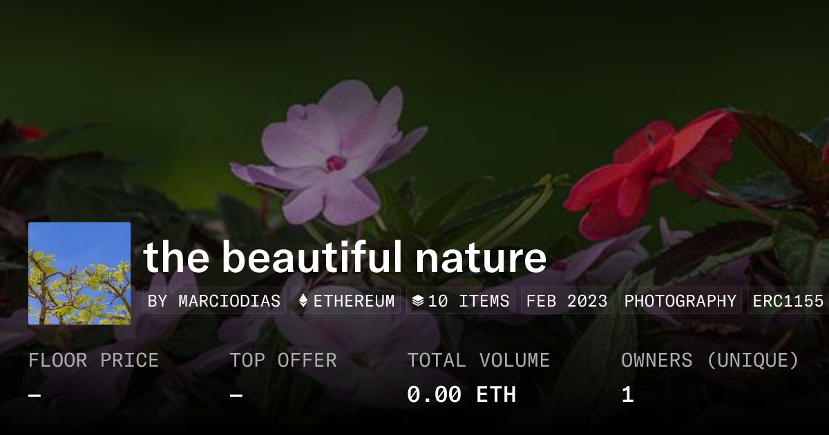 opengraph-image?ts=29204635