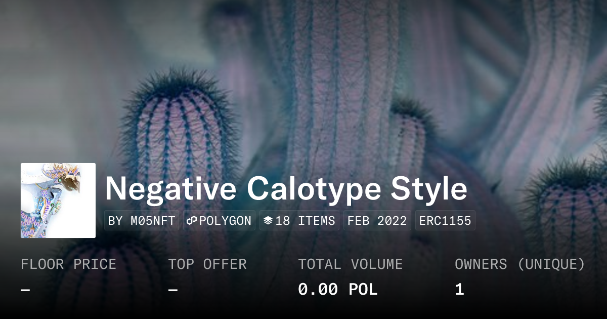 Negative Calotype Style - Collection | OpenSea