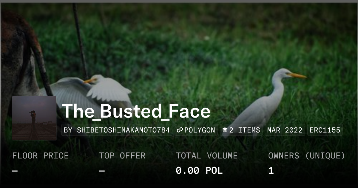 The_Busted_Face - Collection | OpenSea