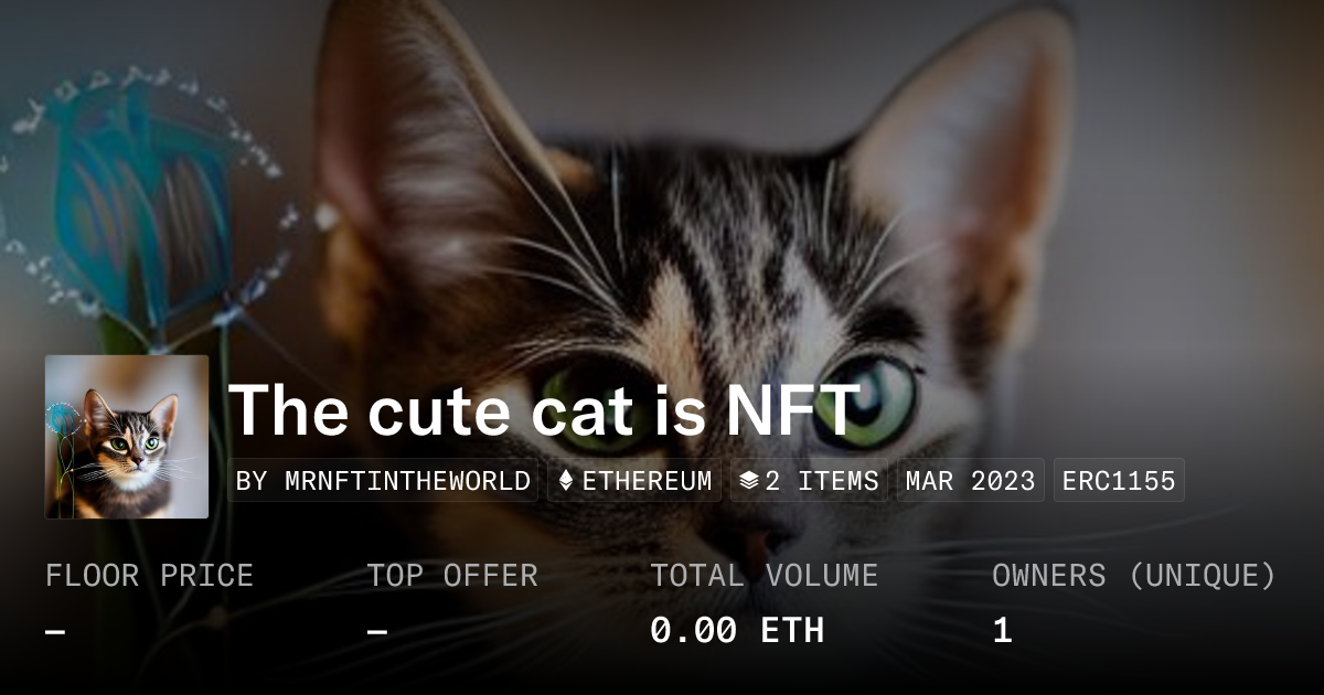 The cute cat is NFT - Collection | OpenSea