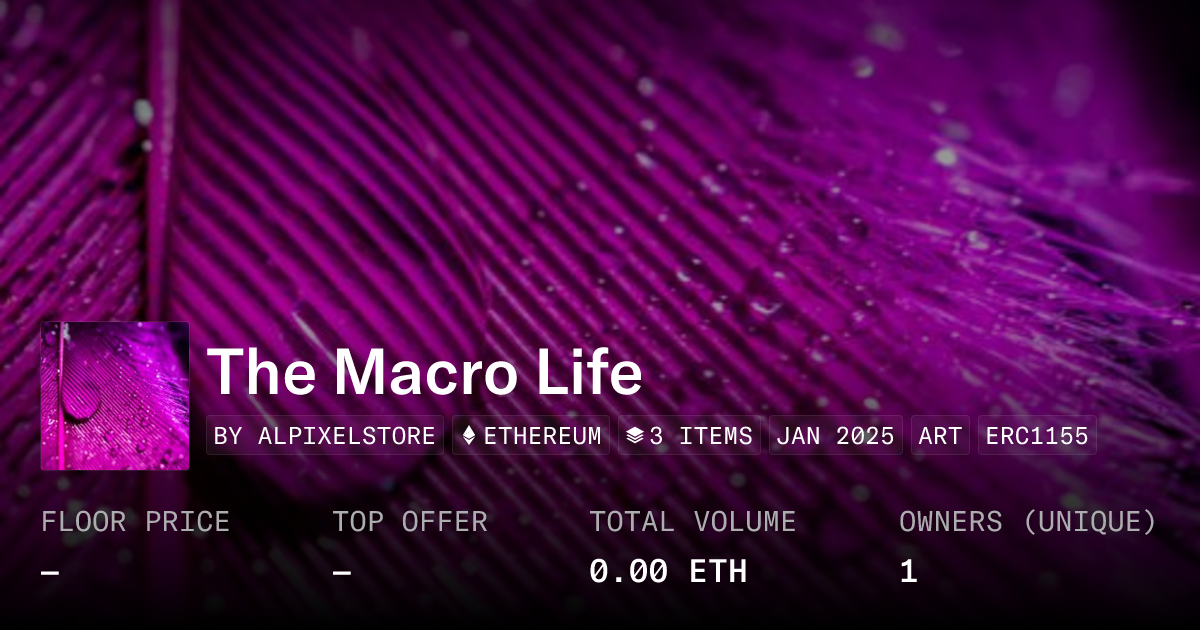 opengraph-image?ts=29205444