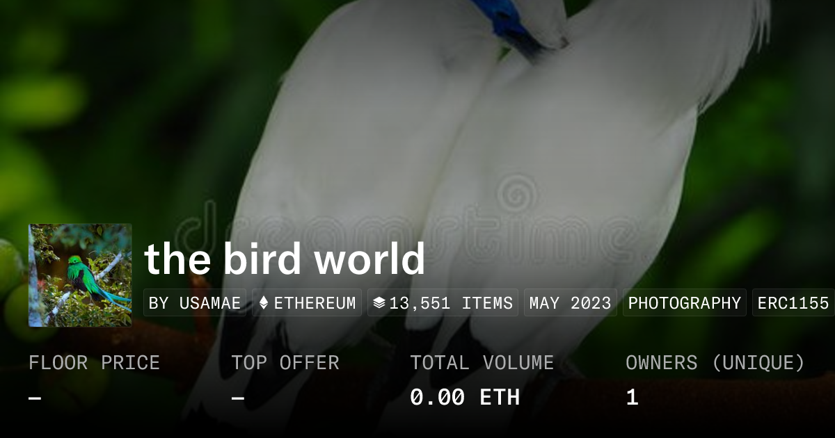 opengraph-image?ts=29207468