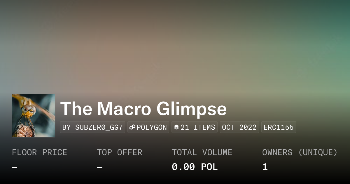 The Macro Glimpse - Collection | OpenSea