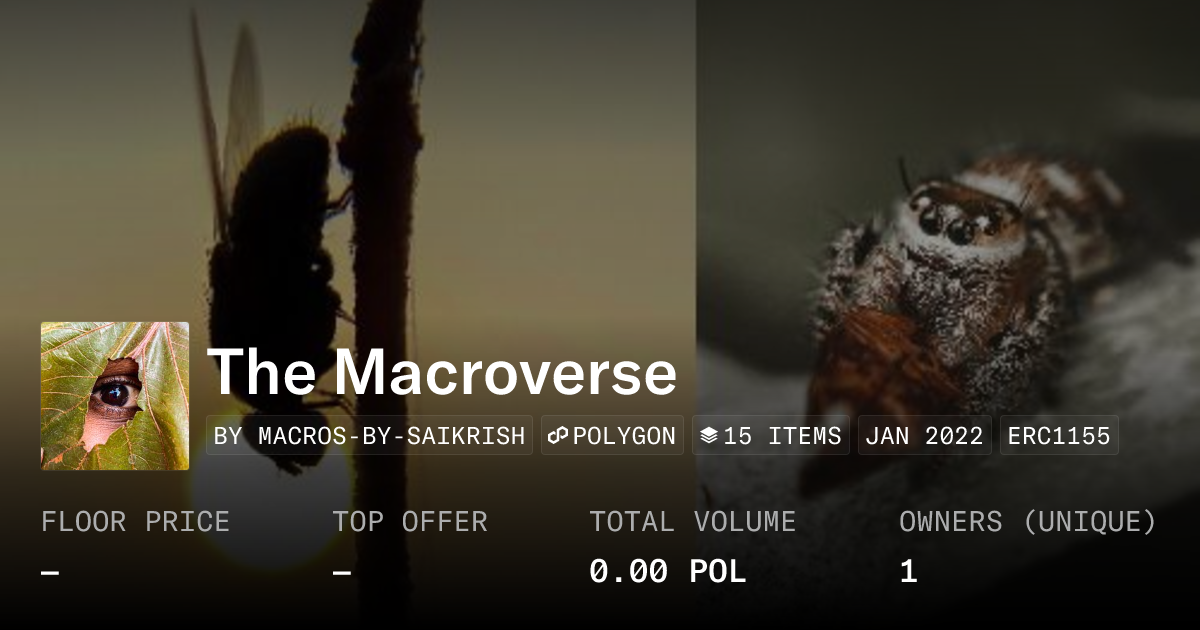 opengraph-image?ts=29171073