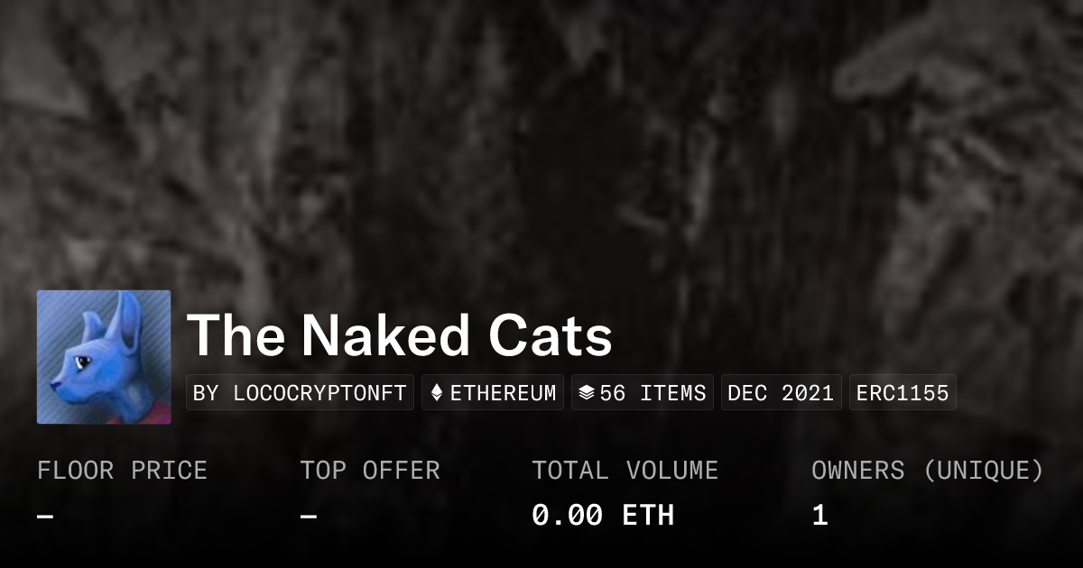 opengraph-image?ts=29189821