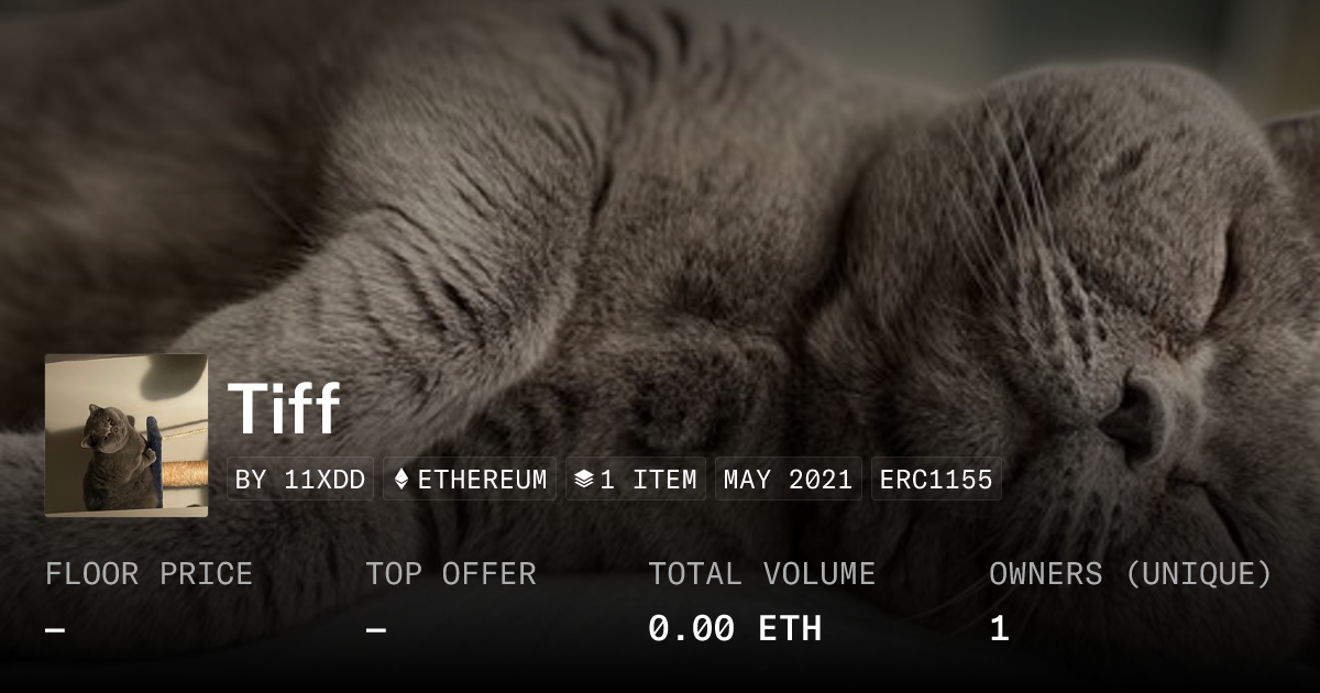 opengraph-image?ts=29207221