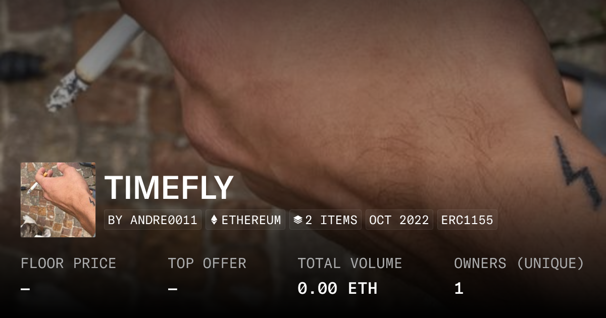 TIMEFLY - Collection | OpenSea