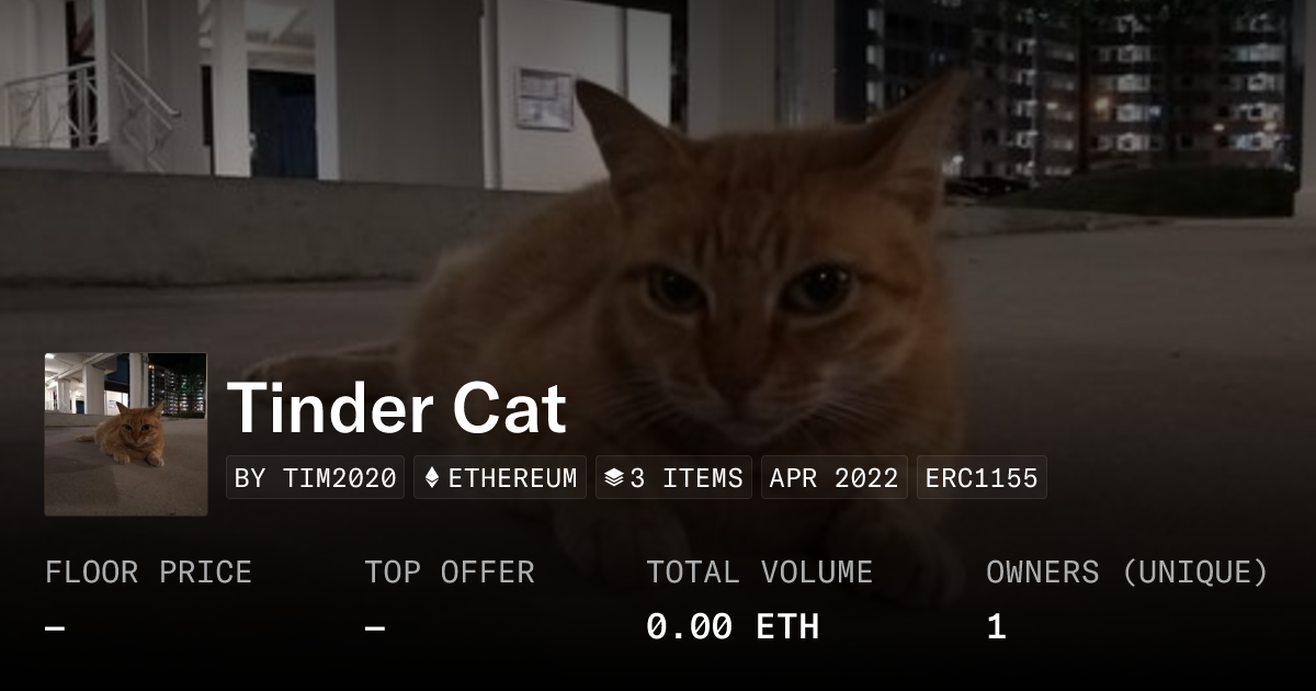 opengraph-image?ts=29198198