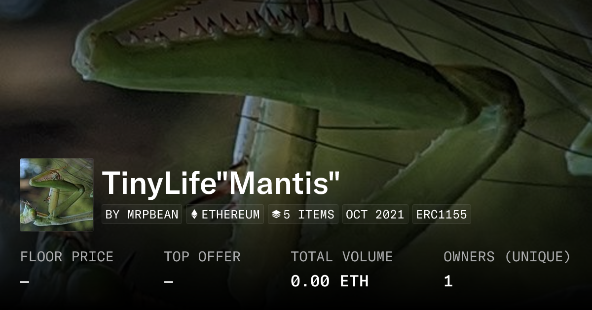 opengraph-image?ts=29192712