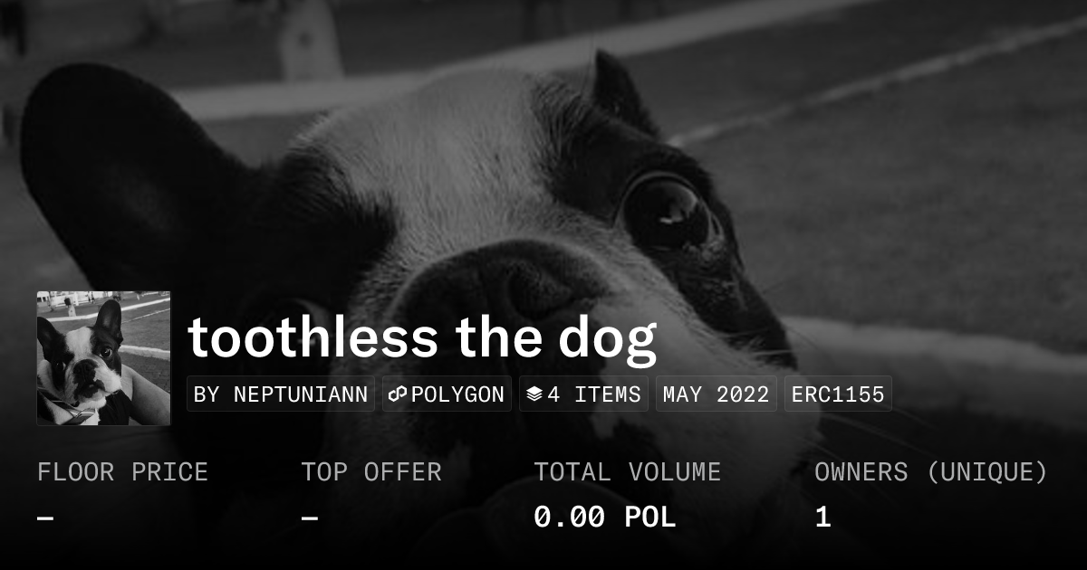 toothless the dog - Collection | OpenSea