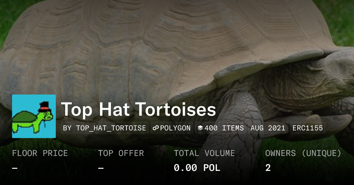Top Hat Tortoises - Collection | OpenSea
