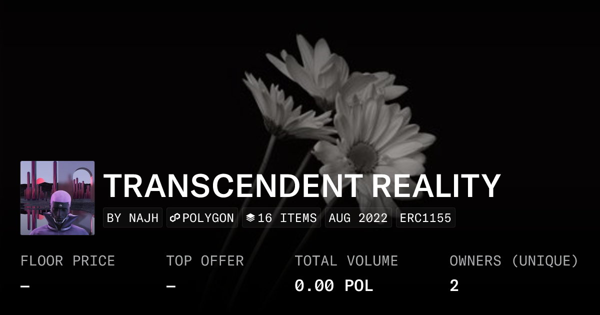 TRANSCENDENT REALITY - Collection | OpenSea