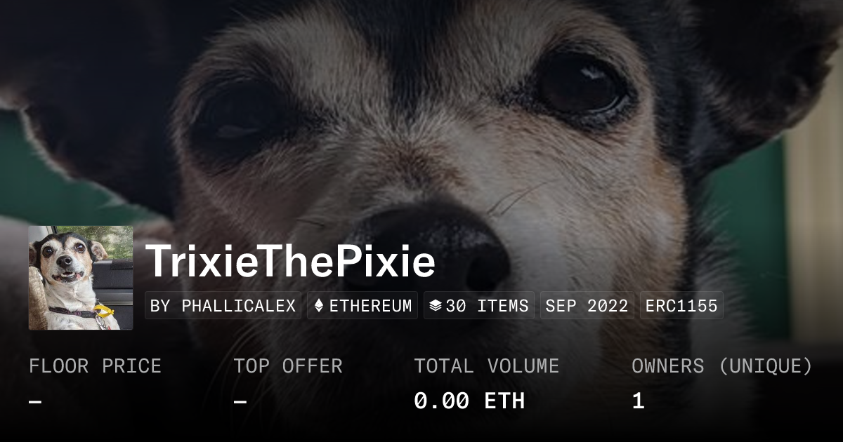 TrixieThePixie - Collection | OpenSea