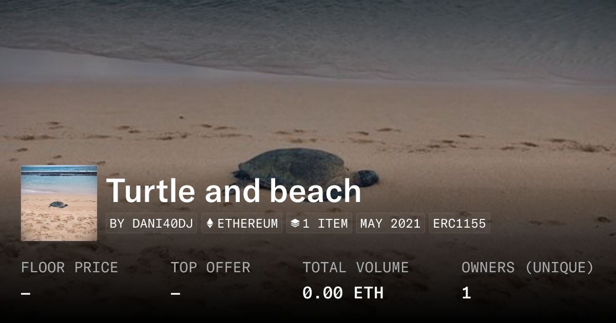 Turtle and beach - Collection | OpenSea