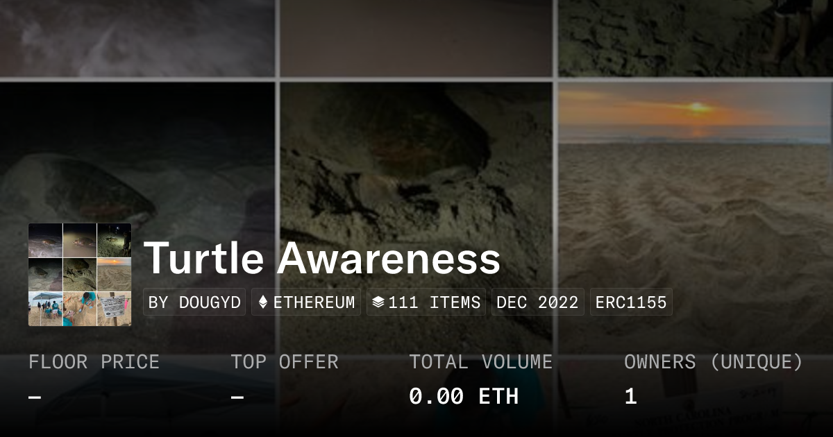 Turtle Awareness - Collection | OpenSea