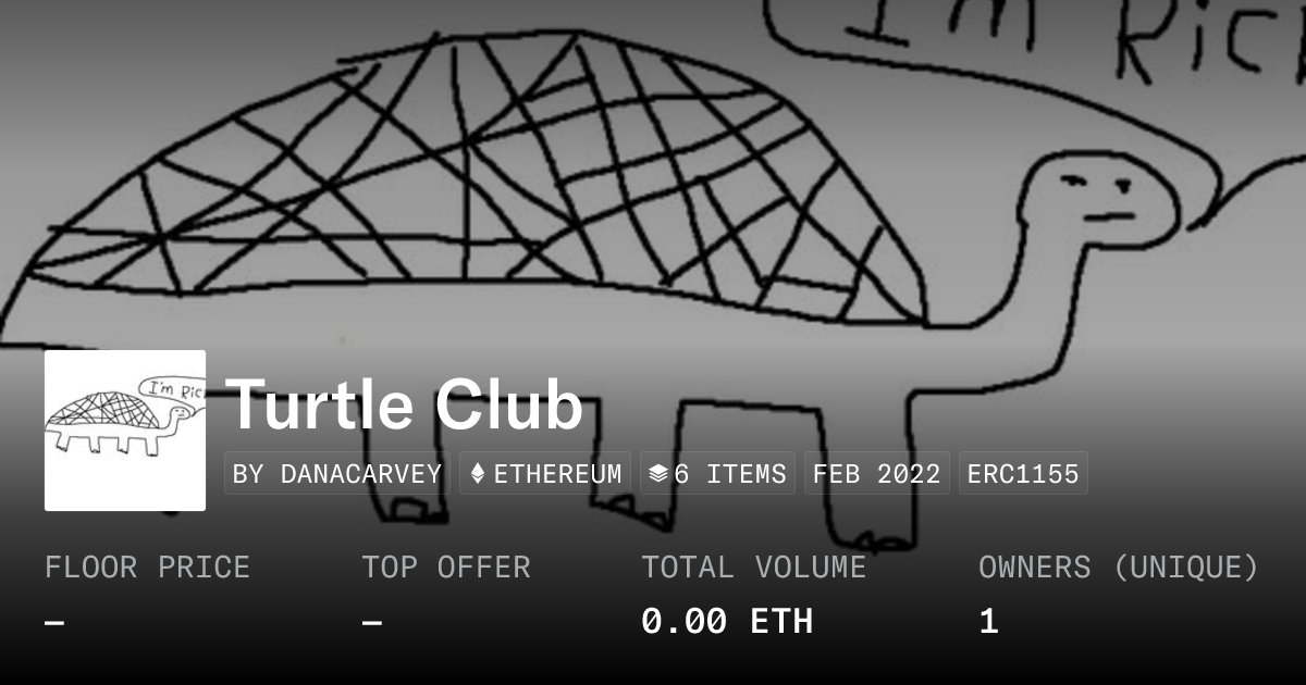 Turtle Club - Collection | OpenSea
