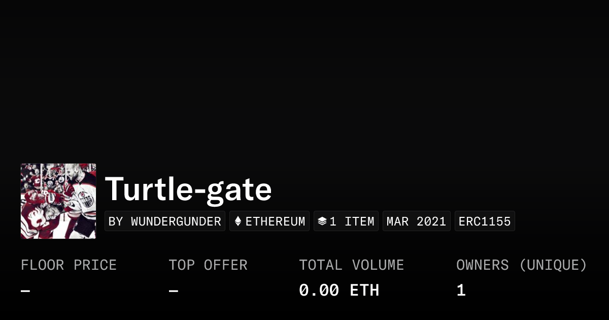 Turtle-gate - Collection | OpenSea