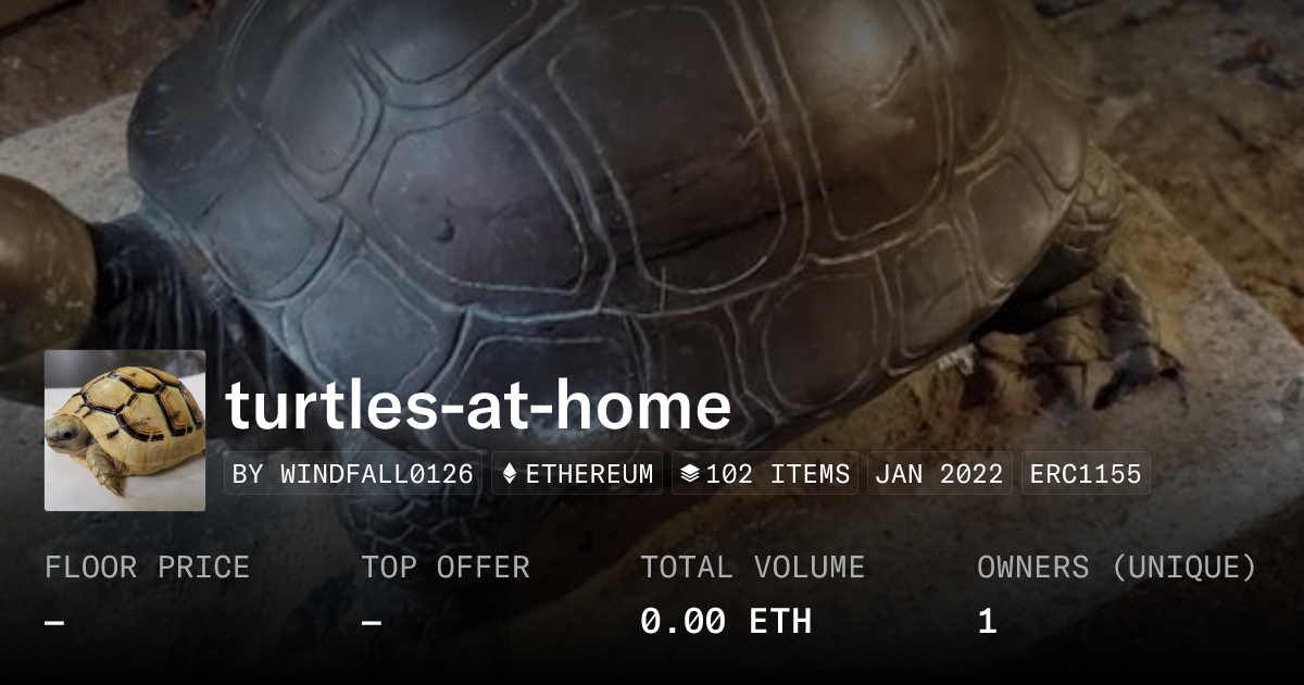 turtles-at-home - Collection | OpenSea