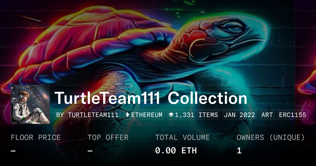 TurtleTeam111 Collection - Collection | OpenSea