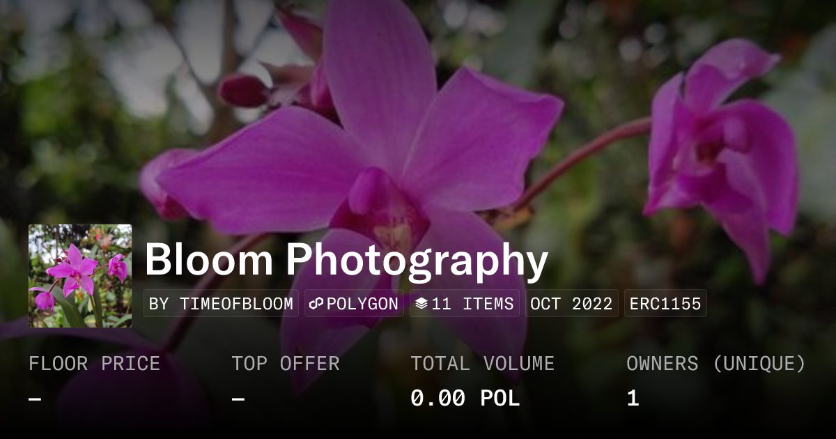 Bloom Photography - Collection | OpenSea