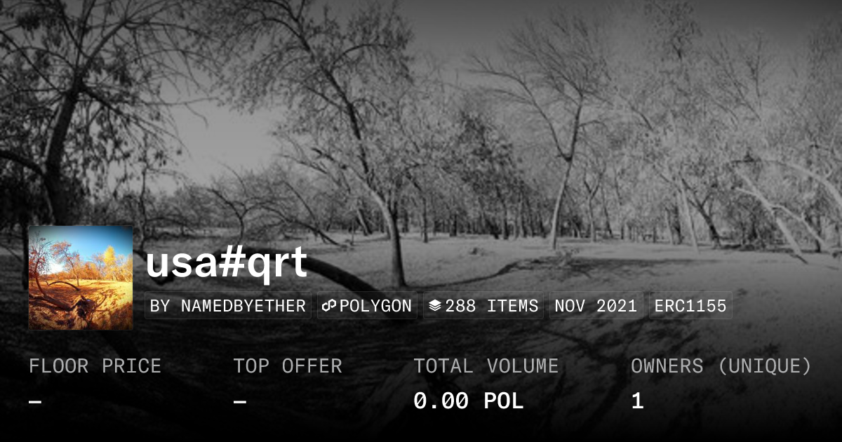 usa#qrt - Collection | OpenSea