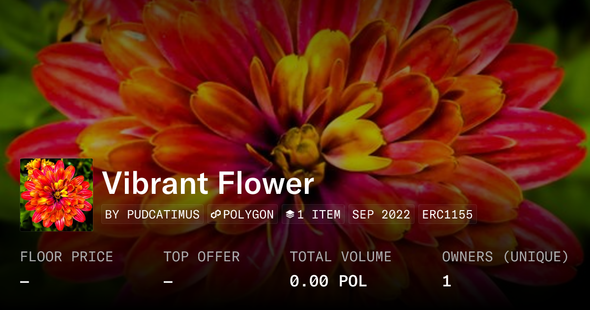 Vibrant Flower - Collection | OpenSea