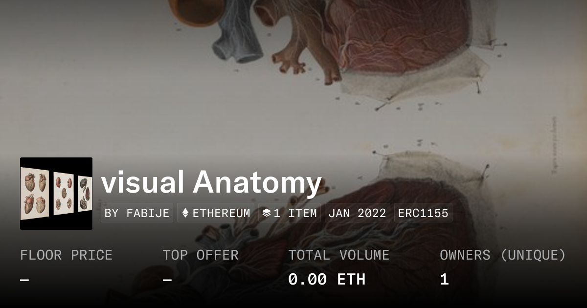 opengraph-image?ts=29194225