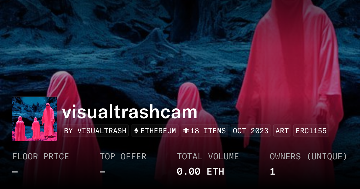 visualtrashcam - Collection | OpenSea