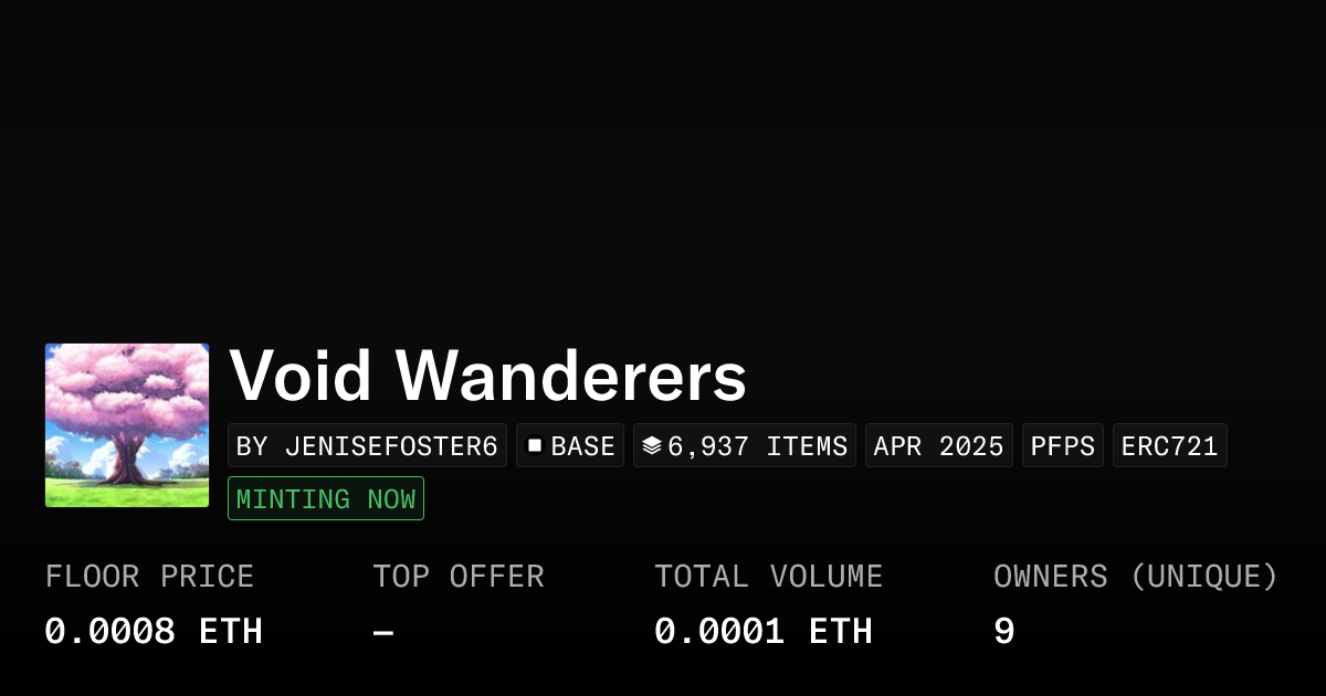 Void Wanderers - Collection | OpenSea