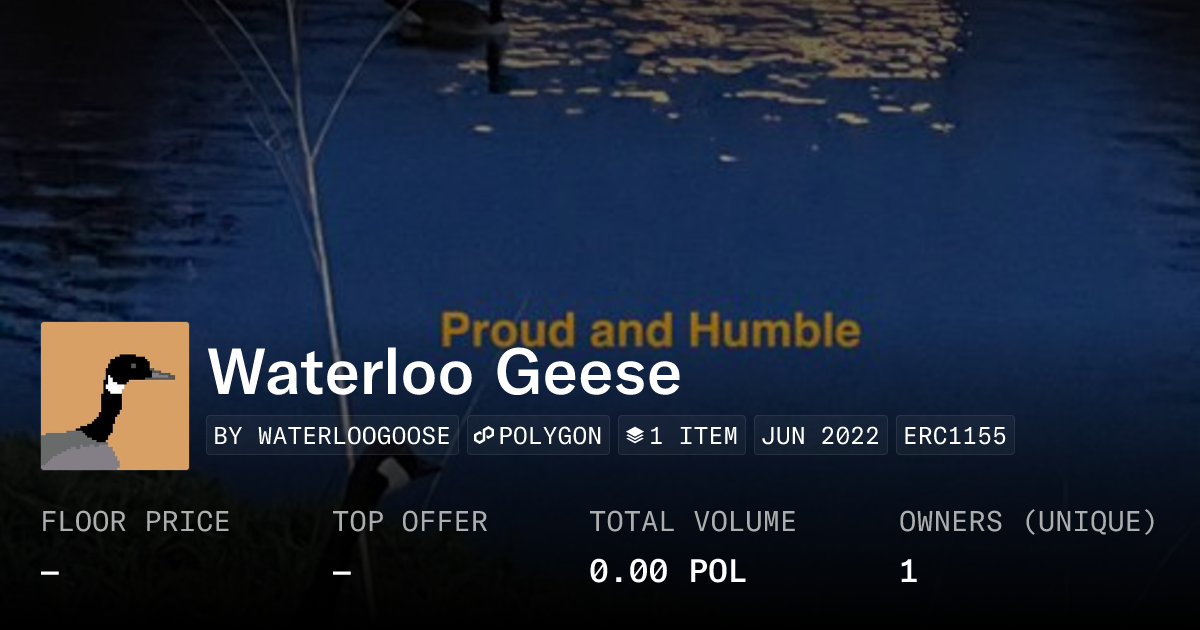 Waterloo Geese - Collection | OpenSea