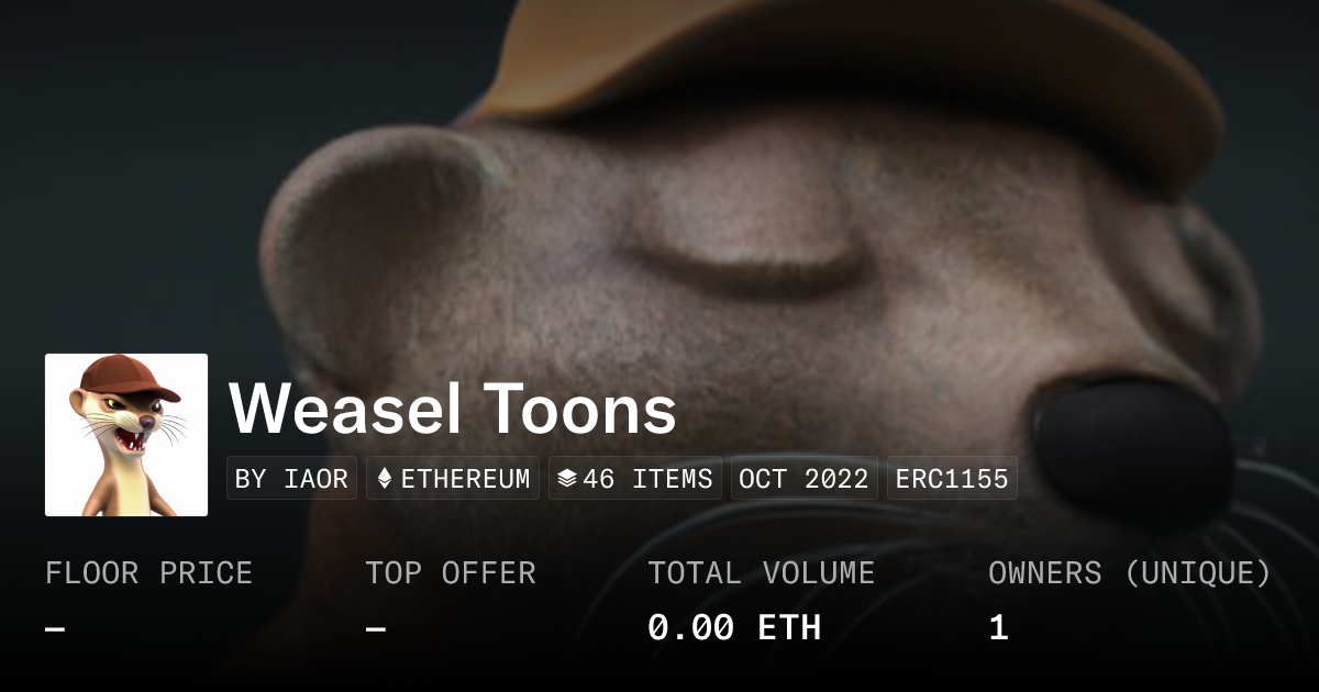 Weasel Toons - Collection | OpenSea