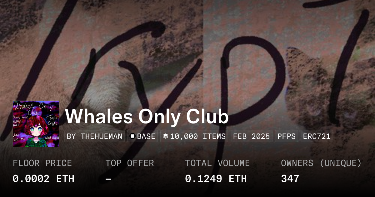 opengraph-image?ts=29167492