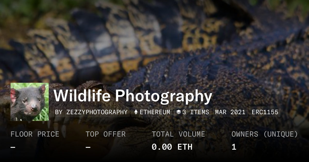 opengraph-image?ts=29196296