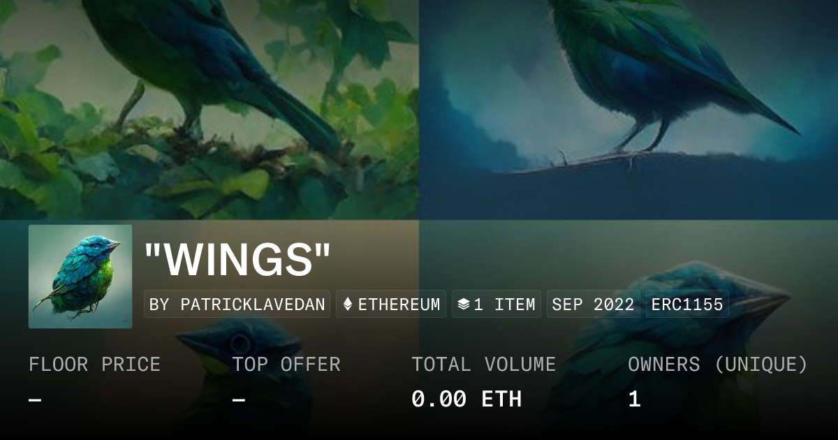 "WINGS" - Collection | OpenSea