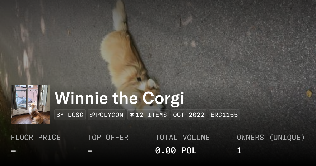 Winnie the Corgi - Collection | OpenSea