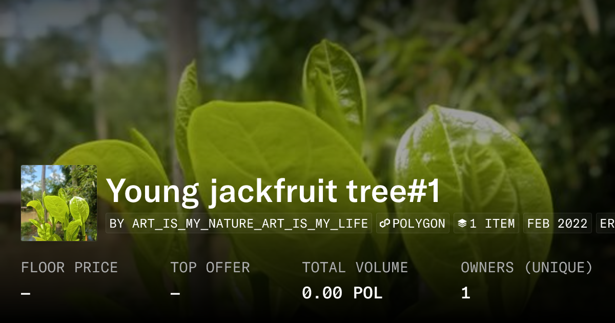 Young jackfruit tree#1 - Collection | OpenSea