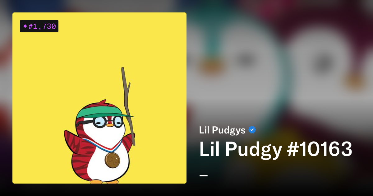 Lil Pudgy #10163 - Lil Pudgys | OpenSea