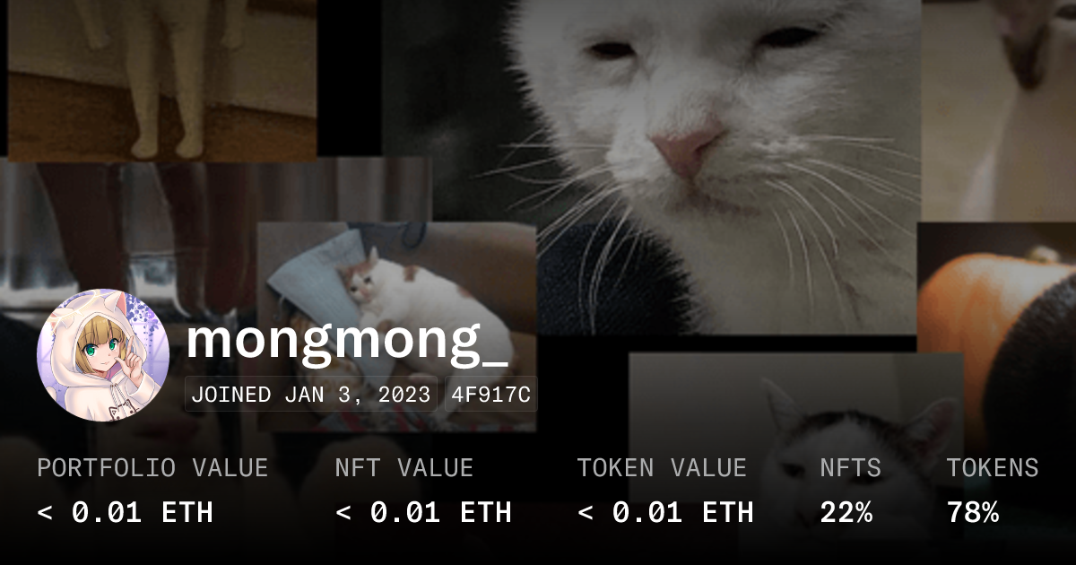 mongmong_ - Profile | OpenSea