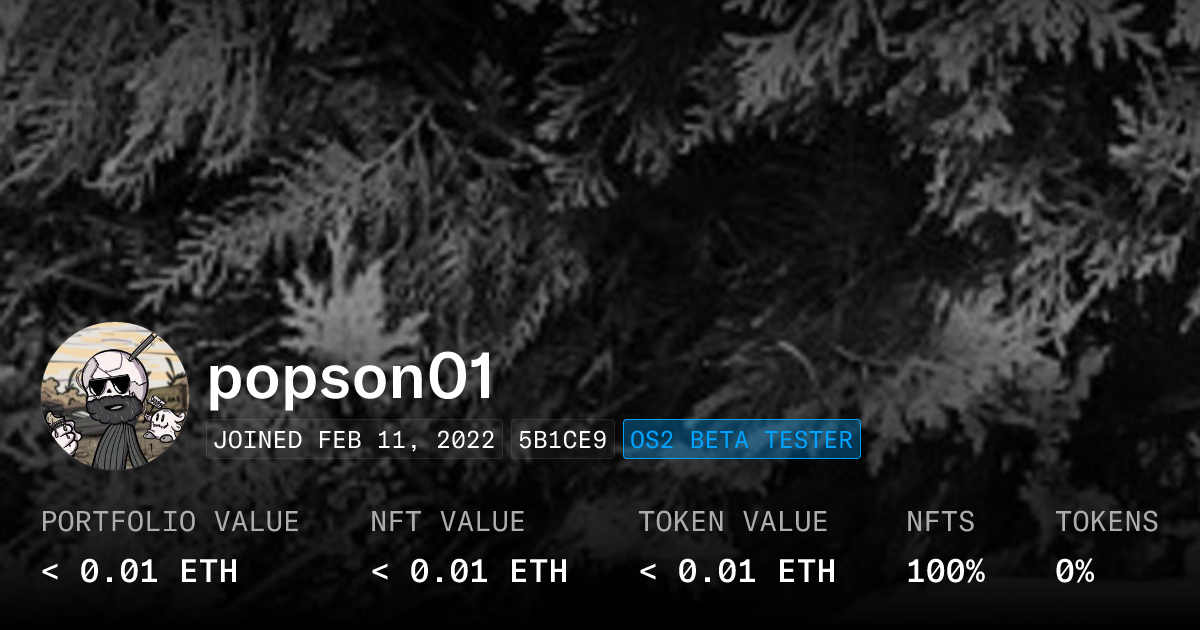 popson01 - Profile | OpenSea