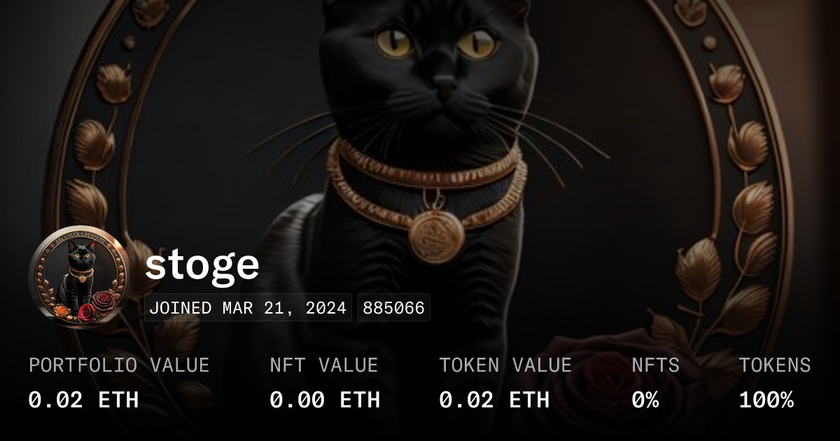 stoge - Profile | OpenSea
